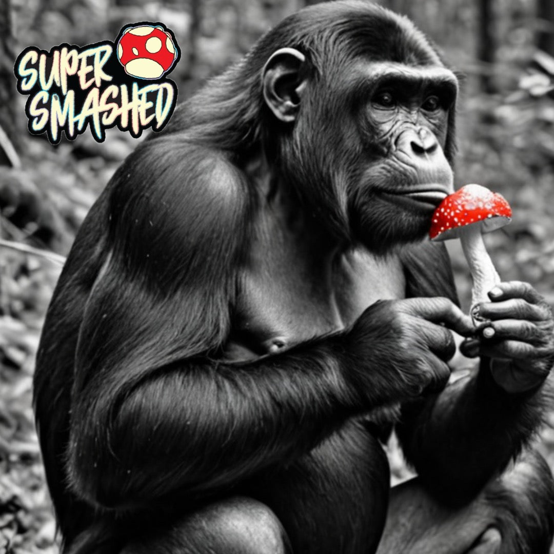 The Stoned Ape Theory: Unlocking the Evolutionary Secrets of Psychedel